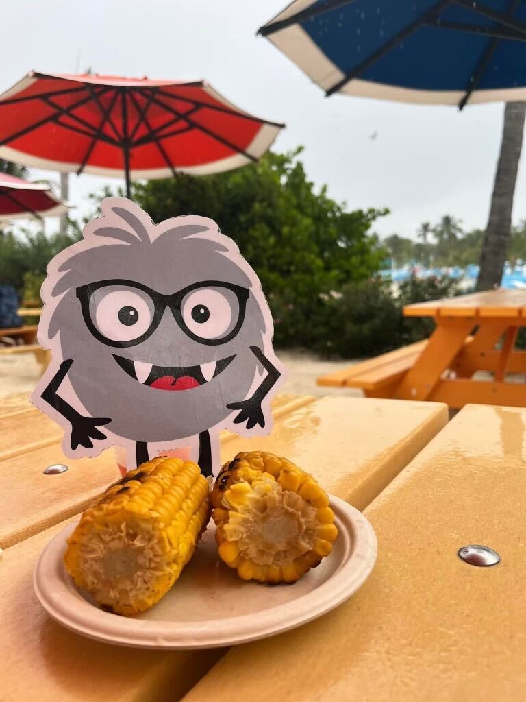 How Visionworks Builds a Culture of Engagement | Zipline. Inc